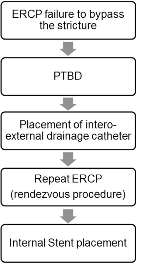 Figure 1 From Percutaneous Transhepatic Biliary Drainage For Biliary Stricture After Endotherapy