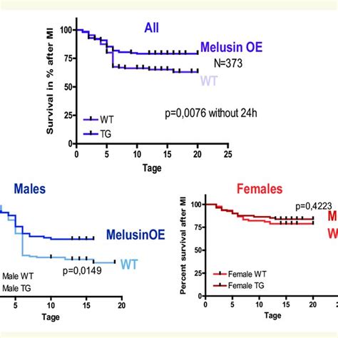 Example Of Sex Differences In Preclinical Research Survival Of Melusin Download Scientific
