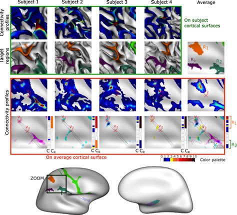 Inter Subject Spatially Informed Dimension Reduction Of The Download Scientific Diagram