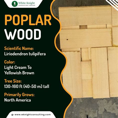 Properties Types And Uses Of Poplar Wood In Detail