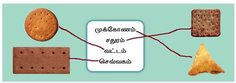 வடிவங்கள் பருவம் 3 இயல் 9 1 ஆம் வகுப்பு தமிழ் Vadivangal Term 3 Chapter 9 1st Tamil