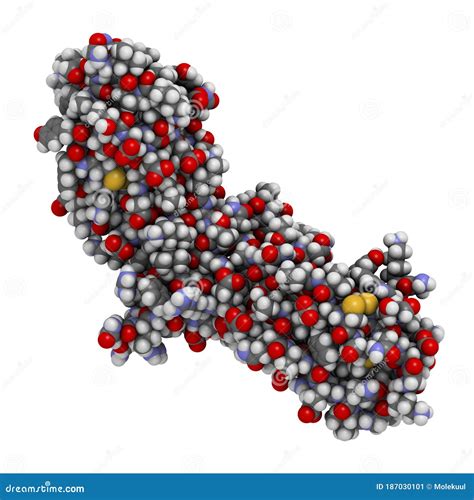 Tissue Factor Tf Extracellular Part Protein Essential In Extrinsic