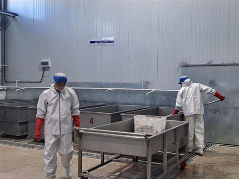 Мал төхөөрөх боловсруулах 49 үйлдвэрийн үйл ажиллагаа эрхлэх дүгнэлтийг цуцалжээ