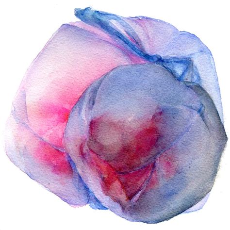 Mateja Simenko Watercolour Watercolor Watercolor Tattoo Tattoos