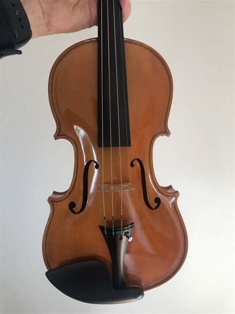 Why Is The Violin Shaped That Way Violin Trend