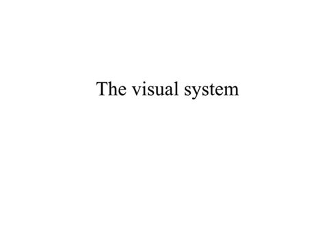Ppt The Visual System Powerpoint Presentation Free Download Id348877