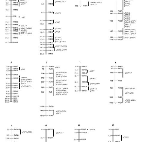 Quantitative Trait Loci Map Showing The Regions Associated With Various