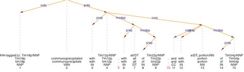 dependency parser output example complete analysis of the sentence