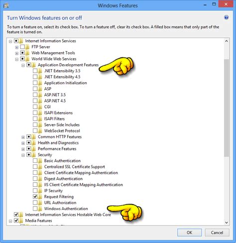 Mvc Iis 8 And Authentication Stack Overflow