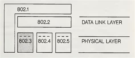 Ethernet History Deepdive Why Do We Have Different Frame Types Daniels Networking Blog
