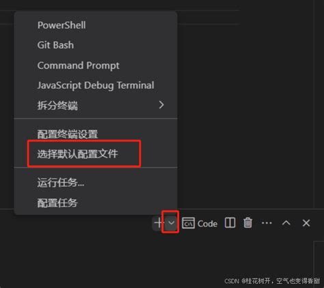 解决vscode终端中文乱码问题vscode桂花树开，空气也变得香甜 2048 Ai社区