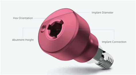 Encode® Emergence Healing And Impression System Implacom Bv