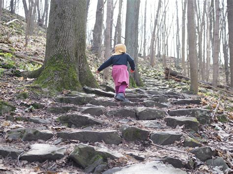 Ostrzyca Najpiękniejsze Wzniesienie Sudetów Szlak Mapa Dojazd Pogórze Kaczawskie