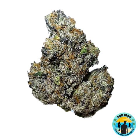 Papaya Dream 344 Thc Premium Bud Man Orange County Dispensary