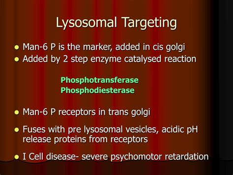 Ppt The Protein Targeting Powerpoint Presentation Free Download Id6008936