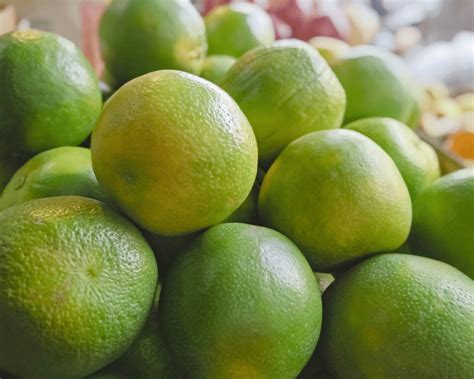 Types Of Limes With Pictures 15 Lime Varieties With Names And Uses
