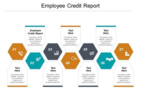 Employee Credit Report Ppt Powerpoint Presentation Model Visual Aids Cpb