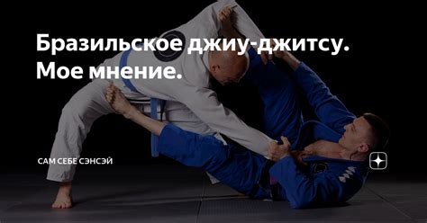 Бразильское джиу-джитсу. Мое мнение. | Сам себе сэнсэй | Дзен
