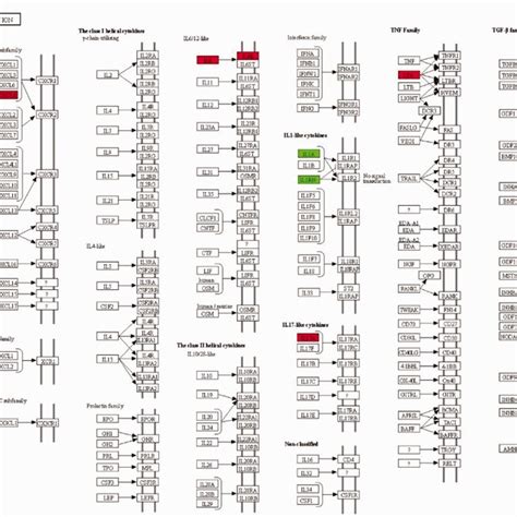 Heatmap Generated Using The Pheatmap Package Among The 40 Analyzed