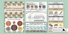 How Mold And Cast Fossils Are Made Poster Twinkl USA