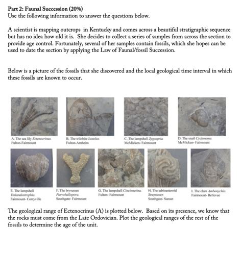 Solved Part 2 Faunal Succession 20 Use The Following