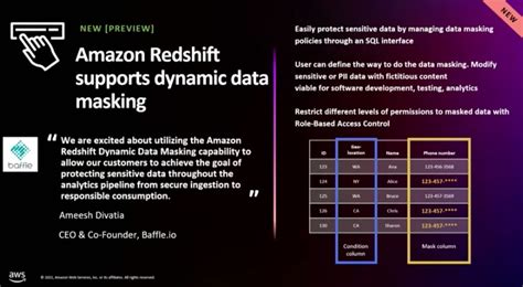 Aws Data Protection And Dynamic Data Masking Baffle
