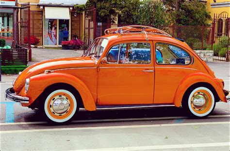 Vinyl Premium Gold 120 Gloss Application At Best Price In Noida