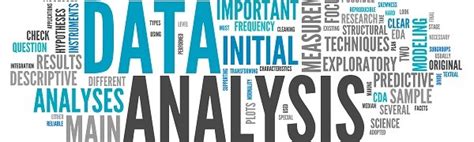 定量数据分析与定性数据分析埃米