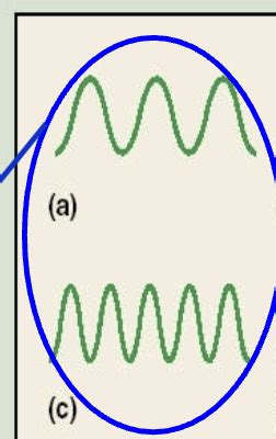 Psyc Lecture Flashcards Quizlet