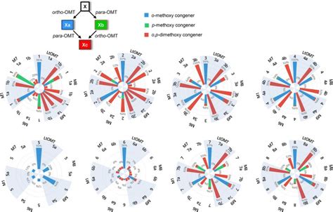 Rational Reprogramming Of O Methylation Regioselectivity For