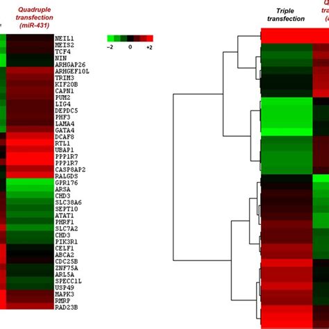 differentially expressed genes between triple and quadruple