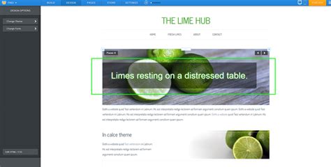 How To Customize The Caption Area Of The Weebly Slideshow Element Editor Tricks