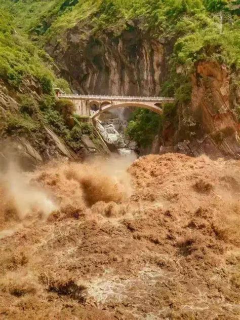 虎跳前扑 虎跳 虎跳动作 大山谷图库