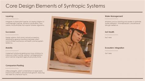 Core Design Elements Of Syntropic Systems Ppt Sample St Ai Ss Ppt Template