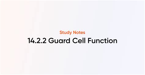 Resources Platform Tutorchase