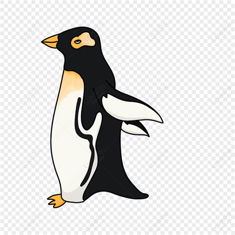 펭귄 일러스트 클립 아트 측면보기 노랑 회색 카통 펭귄 Png 일러스트 무료 다운로드 Lovepik