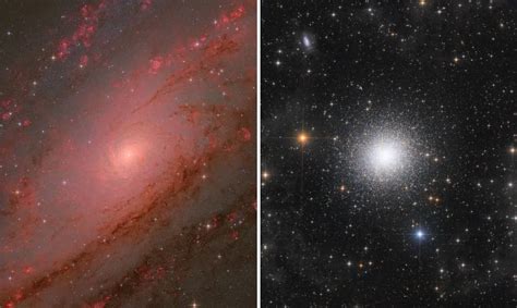 Learn How To Draw A Cactus In X Steps