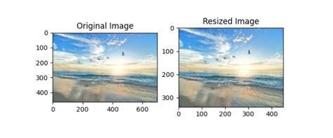 How To Resize An Image In Opencv Using Python