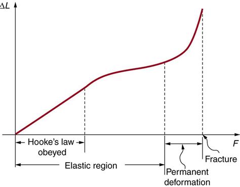 Hookes Law Experiment — Figure 6 A Graph Of Extension Δl Versus The Force