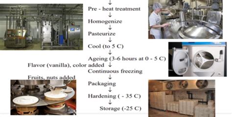 ANSC Exam Flashcards Quizlet ANSC Exam Flashcards Quizlet