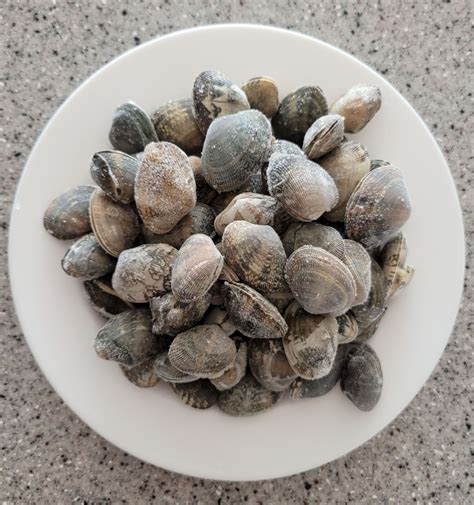 바지락 볶음 만드는 법 두반장 조개 볶음 조개 요리 술안주 요리