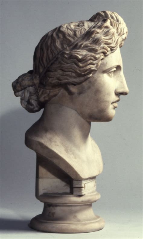 Spencer Alley Statues And Carvings Of Apollo Ancient And Modern