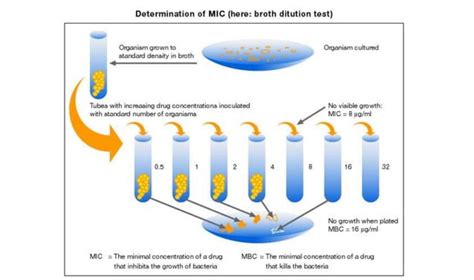Antibiotic Sensitivity Testing Ast Ppt