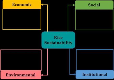A Conceptual Framework For Sustainable Rice Production In Bangladesh Download Scientific Diagram