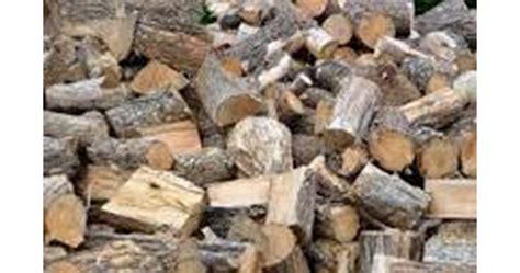 250 000 кубика дърва са предоставени на населението от Североизточна България