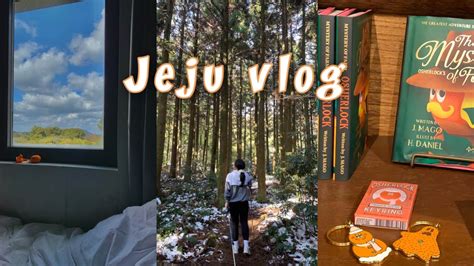 Jeju Vlog 나혼자 동쪽 뚜벅이 제주 여행🍊플레이스캠프 갈치1인정식 사려니숲길 플레이스액티비티 몸국 페이보릿 도렐 너티클라우드 Youtube