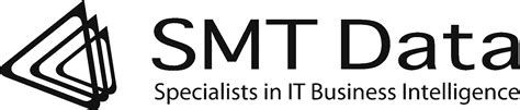 Smt Data Enterprise Software And Services Reviews