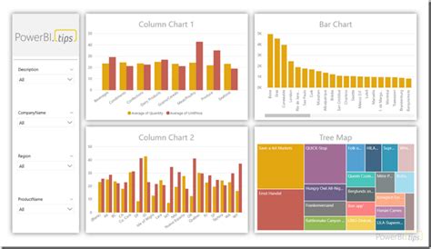 Visually Appealing Power Bi Reports 📊 Excelerator Bi