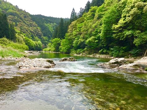 寒狭川の釣り 新城市 キラッと奥三河観光ナビ