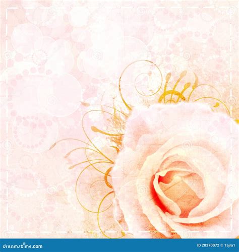 Beige Wedding Stock Illustrations 20 457 Beige Wedding Stock Illustrations Vectors And Clipart